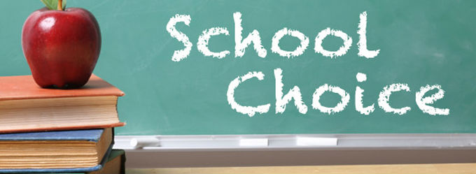 What are the Various Types of Schools for My Child? – betterteacher.net